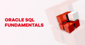 Tekwill Academy – Tekwill